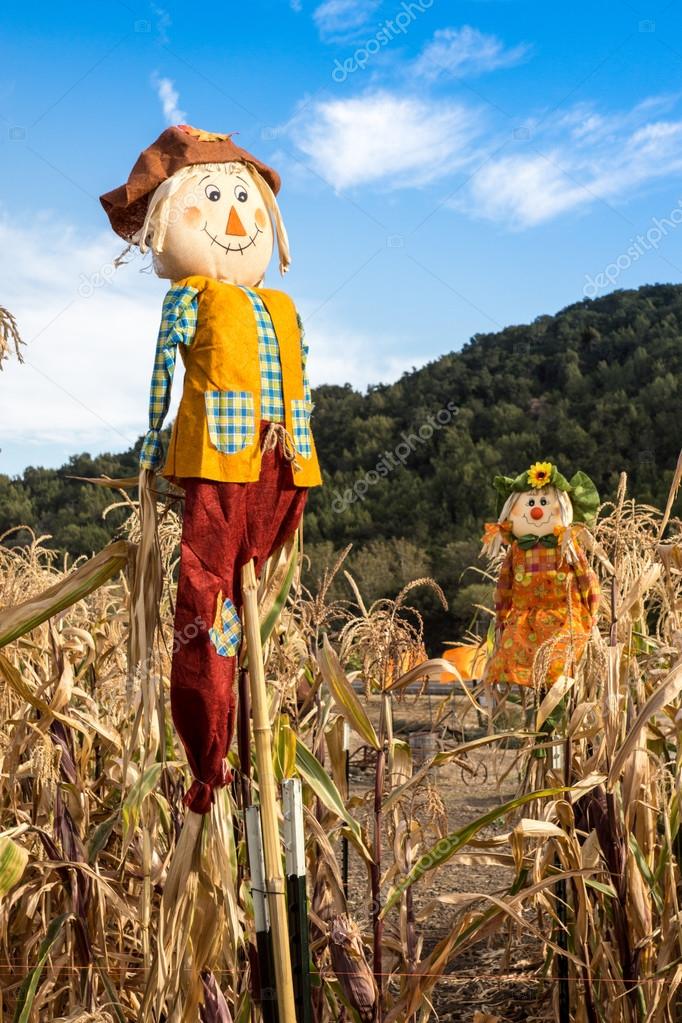 Scarecrows in a Corn Field Stock Photo by ©woodkern 56575409