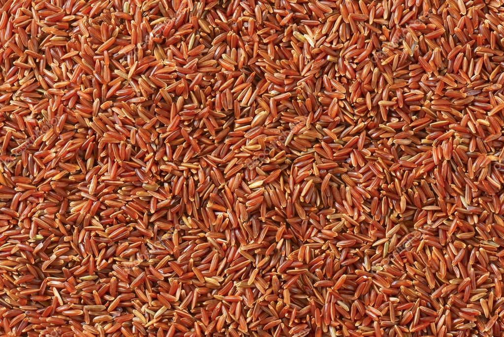 Camargue red rice — Stock Photo © ajafoto #59107497