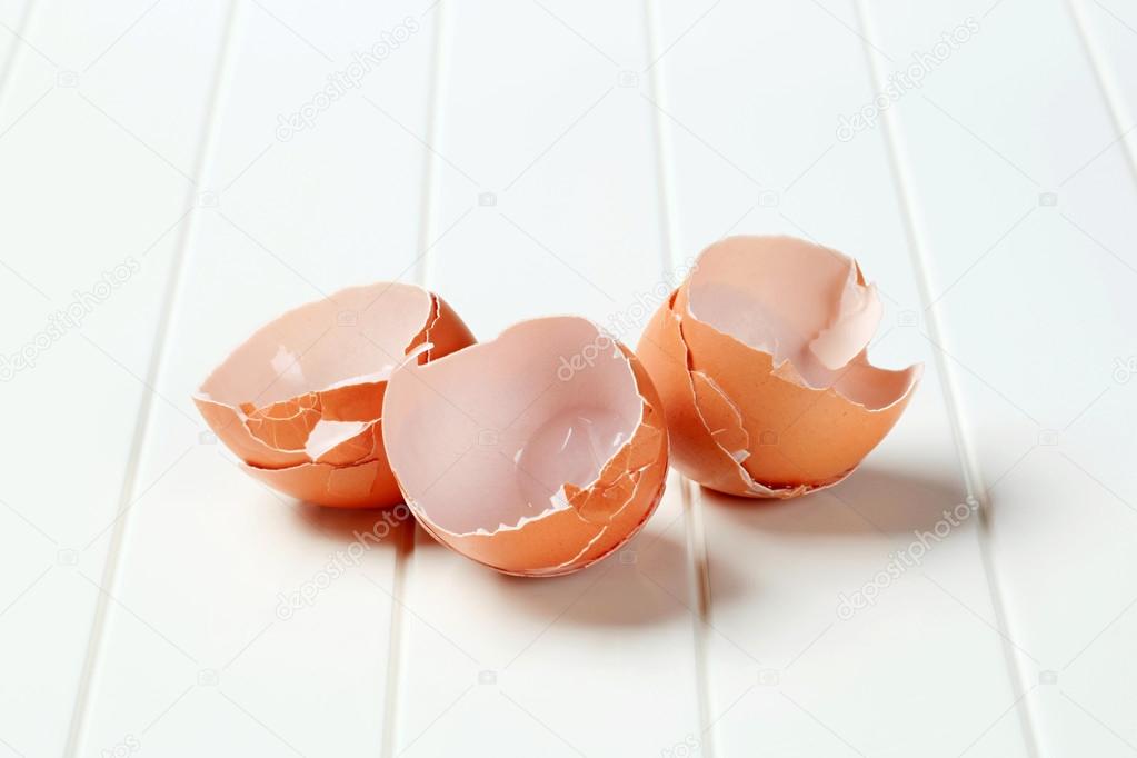 Empty Egg Shell