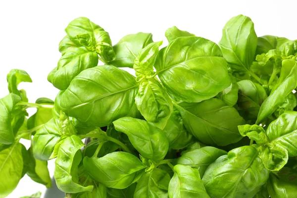 Fresh basil Stock Photos, Royalty Free Fresh basil Images | Depositphotos