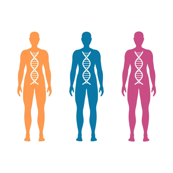 Genotipo imágenes de stock de arte vectorial | Depositphotos