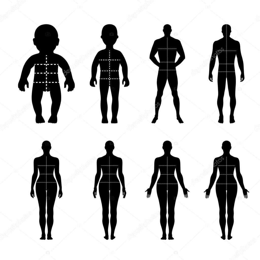 Silueta Masculina Del Cuerpo Humano Vector De Stock Por 58 Off