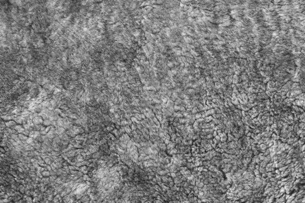 Sheepskin fur texture — Stock Photo © svl861 #123788346