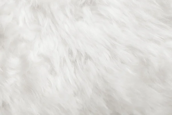 White fur background Stock Photos, Royalty Free White fur background ...