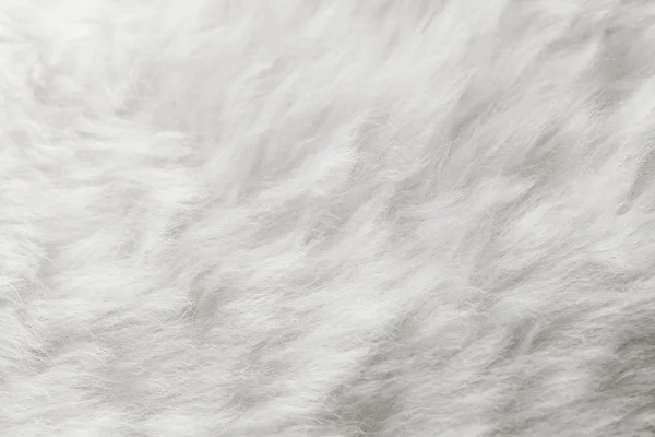 natural white fur background - Stock Image - Everypixel
