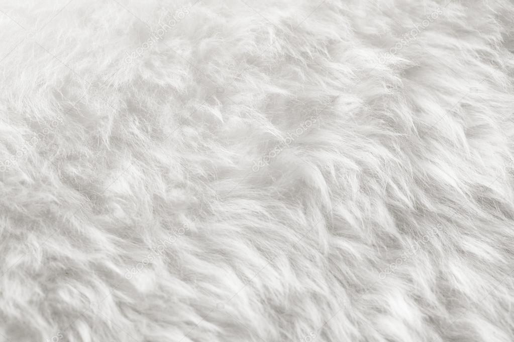 Natural white fur background — Stock Photo © nikkytok #104753970