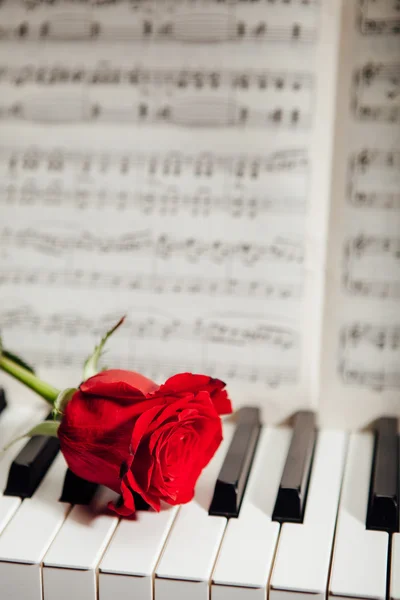 Piano red rose violin — Stock Photo © Microstock77 #38050821