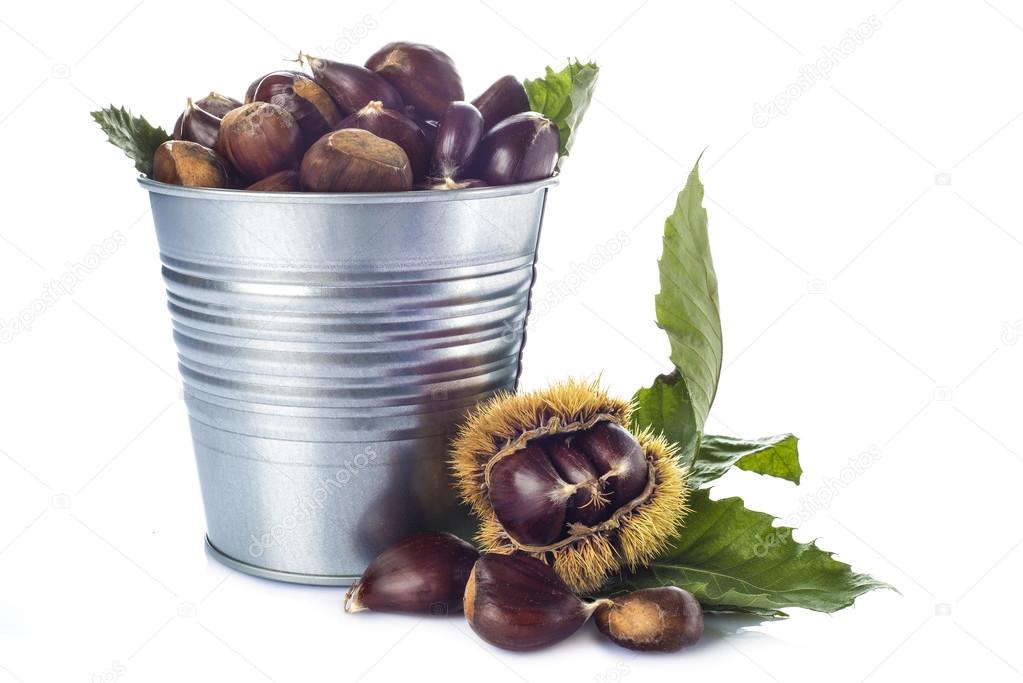 Chestnuts in a bucket isolated on a white background Stock Photo by ...