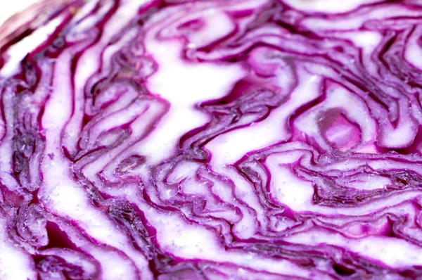 Cabbage macro Stock Photos, Royalty Free Cabbage macro Images ...