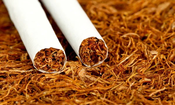 Tobacco pipe Stock Photos, Royalty Free Tobacco pipe Images | Depositphotos
