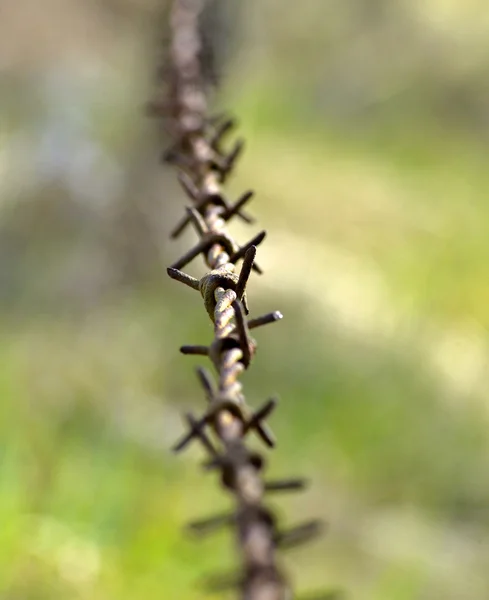 Barbed wire feet Stock Photos, Royalty Free Barbed wire feet Images ...