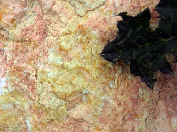 Rusty Metal Backround Oxidation Texture Image Stock Photo by ...