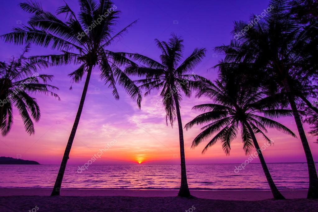 Purple Sunset With Palm Trees