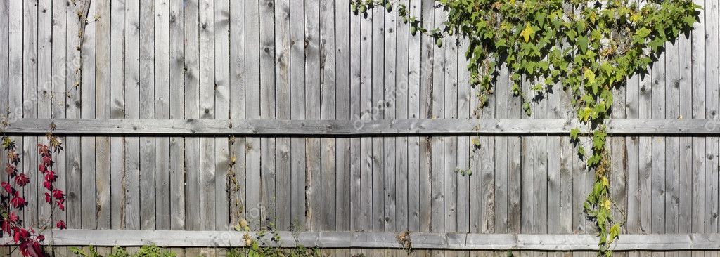 Branches fence Stock Photos, Royalty Free Branches fence Images ...