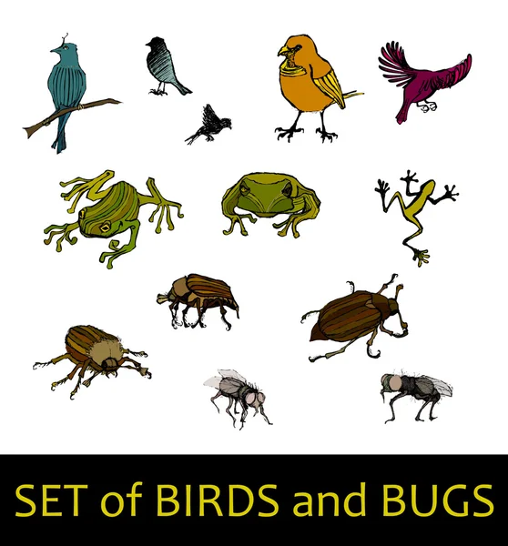 Set of birds and bugs — Stock Illustration