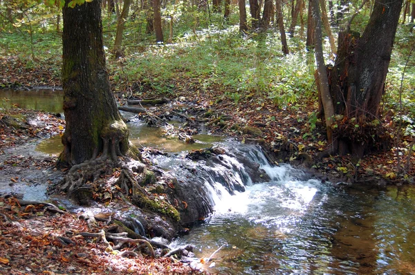 Storm water runoff Stock Photos, Royalty Free Storm water runoff Images ...