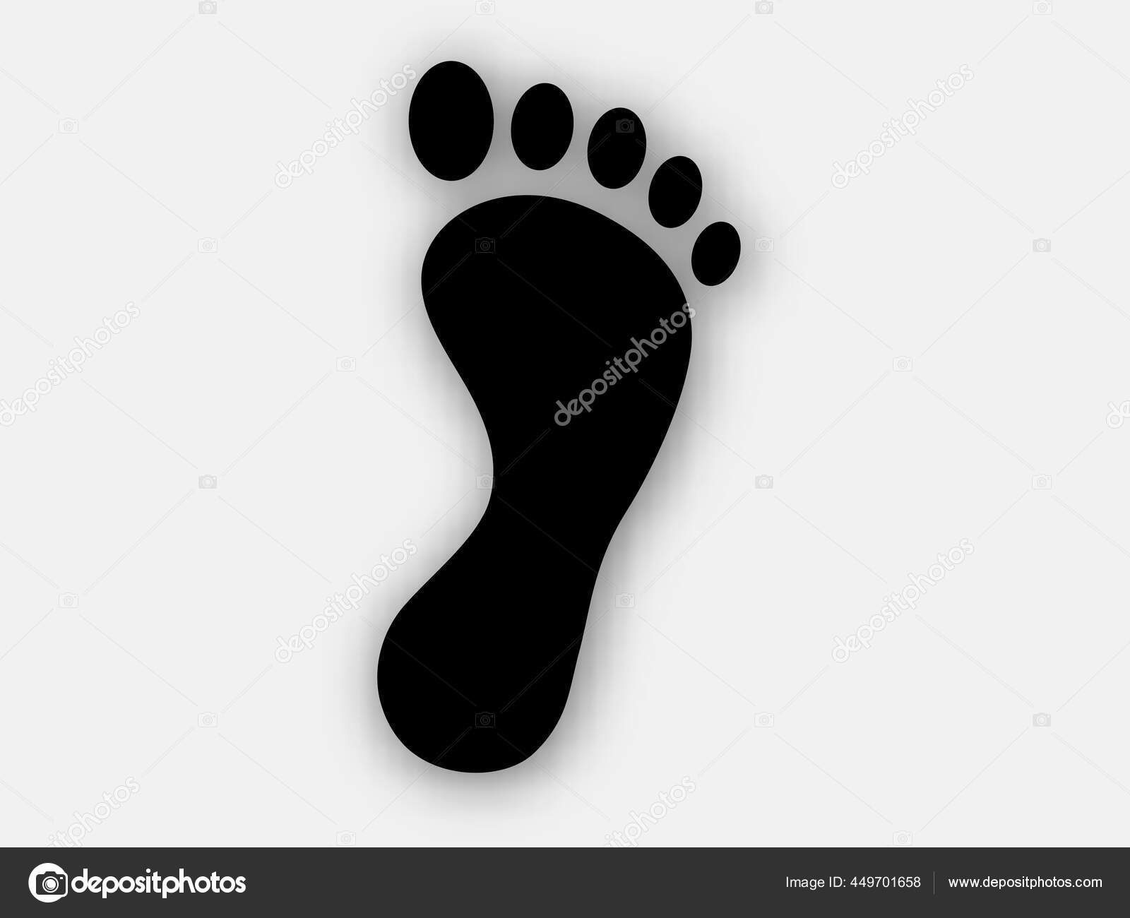 Human Foot White Background Vector Stock Vector Image by ©aratum #449701658