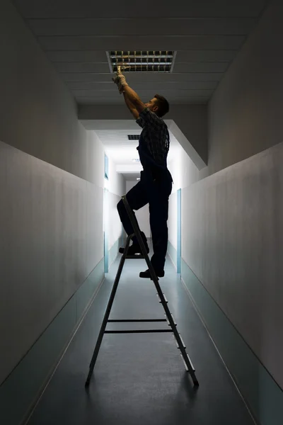 Electrician On Stepladder Installs Lighting - Stock Image - Everypixel