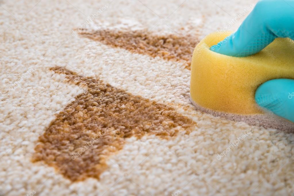 Person Cleaning Stain Stock Photo by ©AndreyPopov 67036765