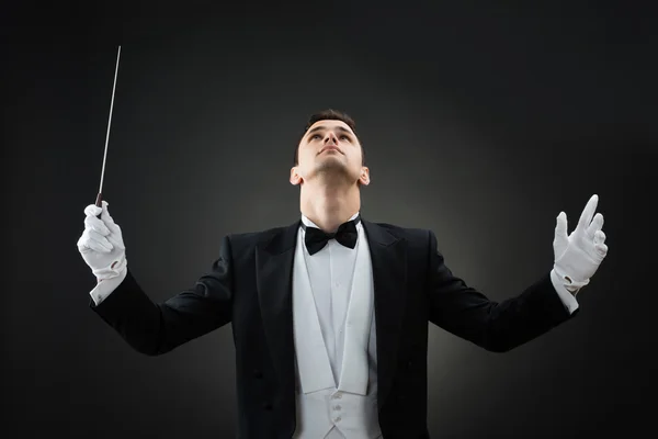 Orchestra leader Stock Photos, Royalty Free Orchestra leader Images ...
