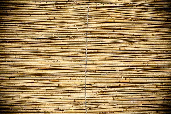 Reed texture Images - Search Images on Everypixel