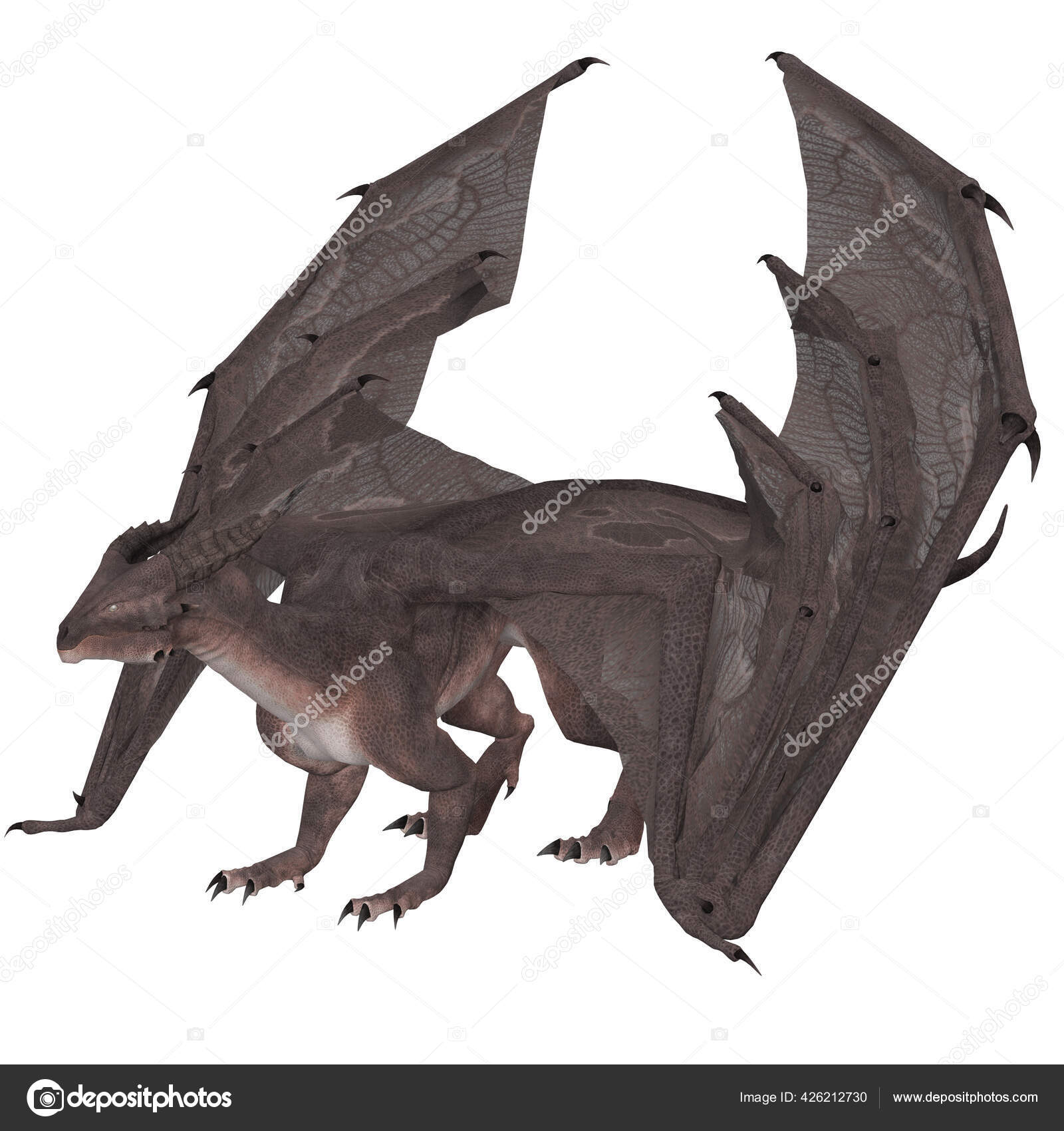 Render Dragon Stock Photo by ©Digitalstudio 426212730