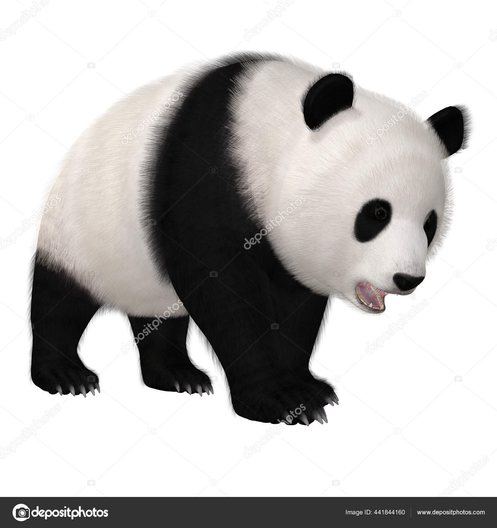 Render Bonito Panda — Fotografia de stock © Digitalstudio #441844160