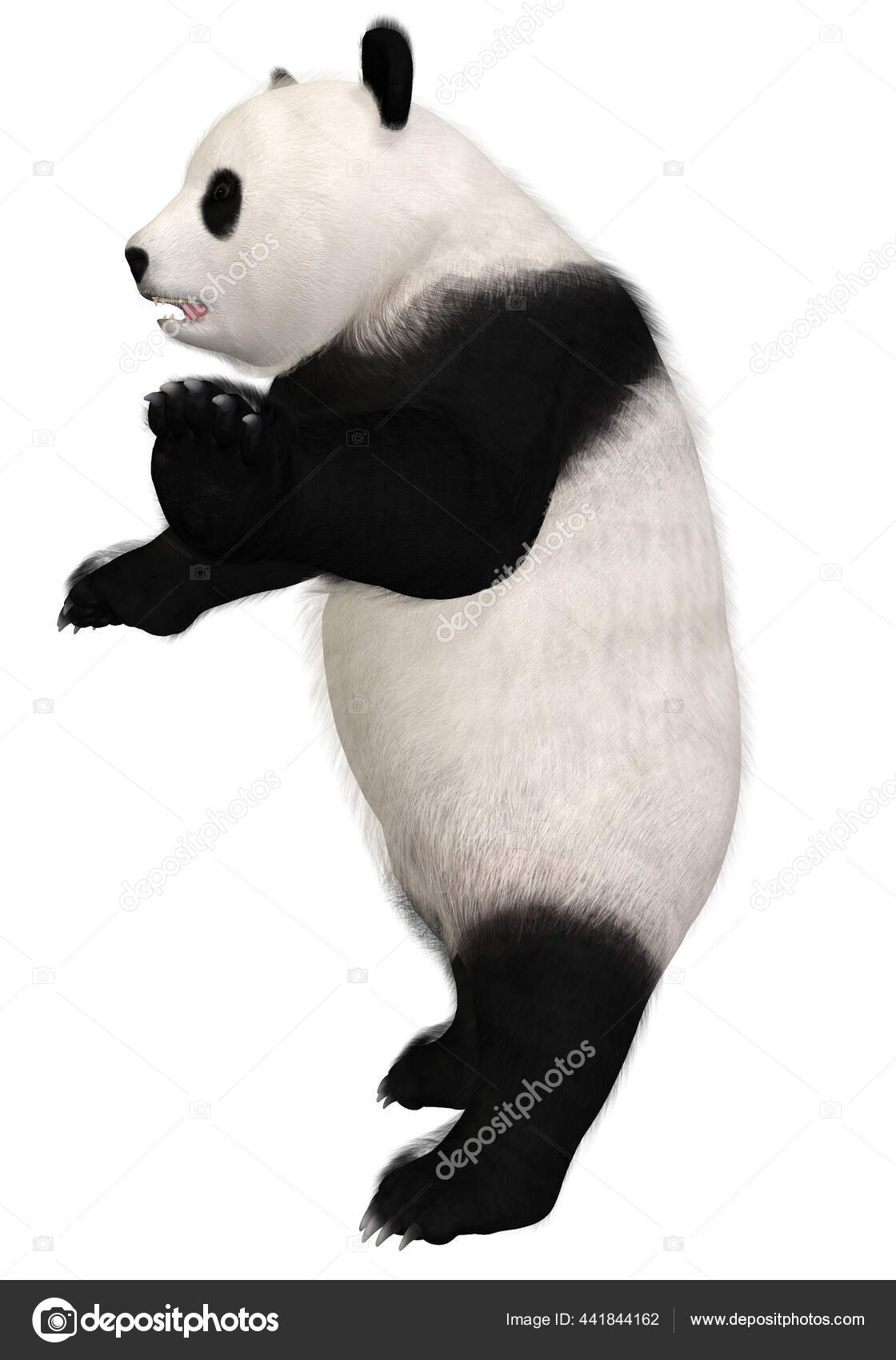 Render Cute Panda — Stock Photo © Digitalstudio #441844162