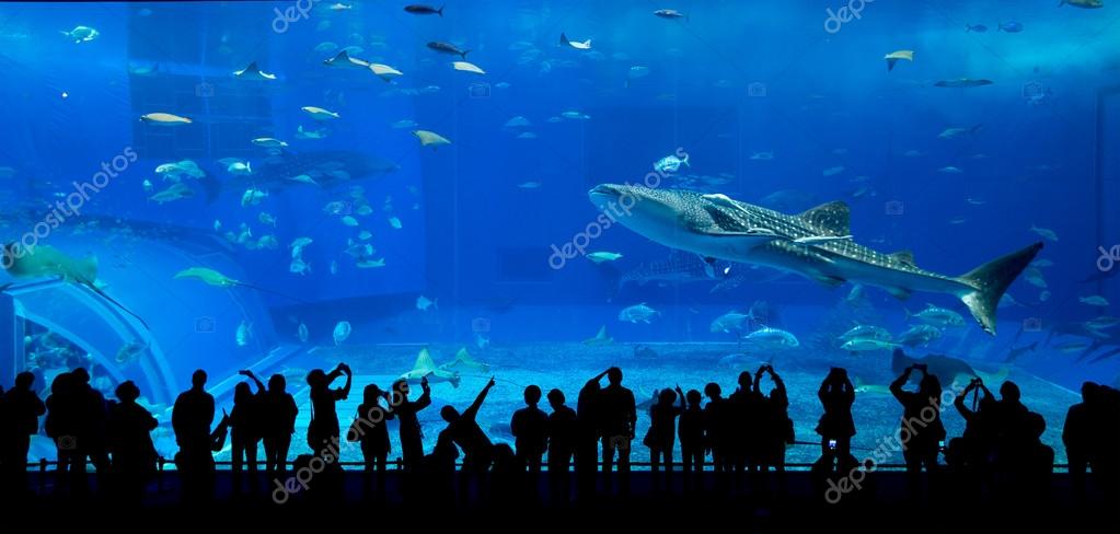 People watching fish at aquarium — Stock Photo © leungchopan #103446406