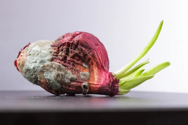 Rotting garlic Pictures, Rotting garlic Stock Photos & Images ...