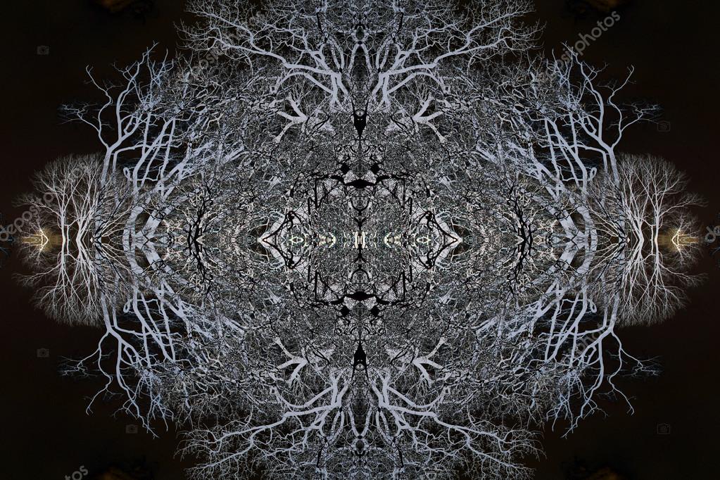 Negative mirror image trees Stock Photo by ©steveball 59880023