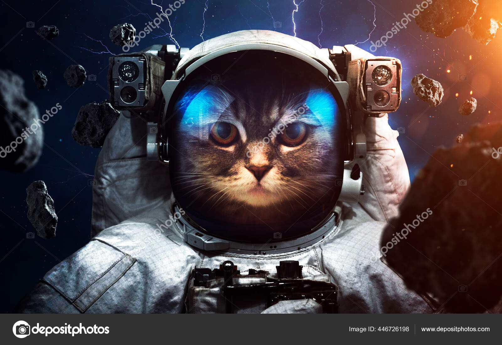 Nasa Cat