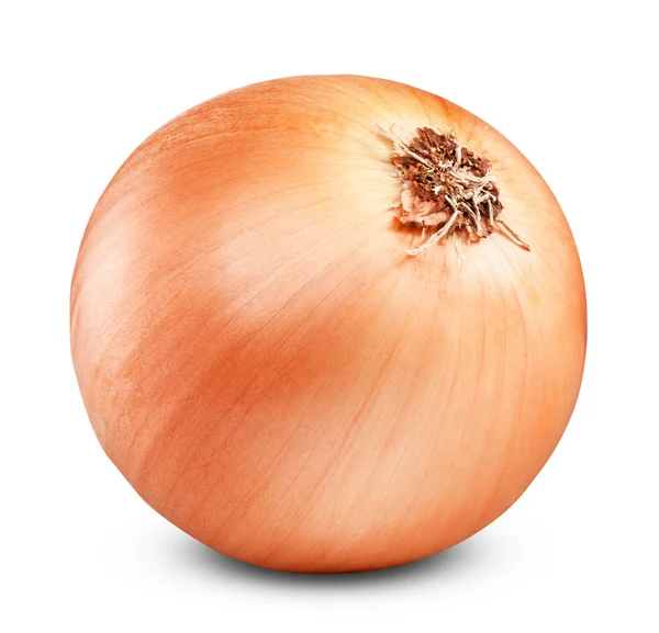 Onion Stock Photos, Royalty Free Onion Images | Depositphotos