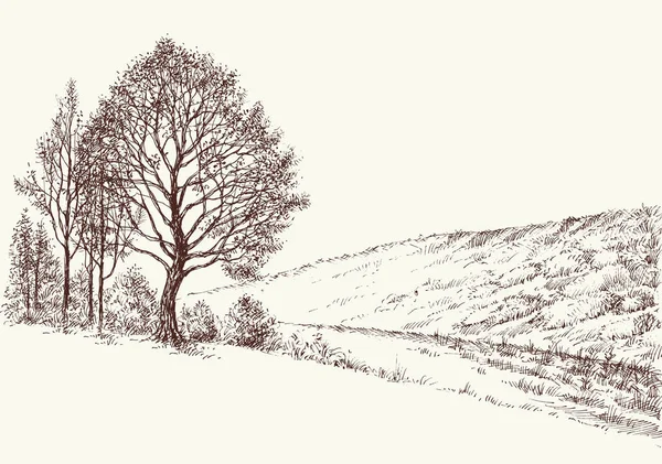 9,836,778 Hand drawn landscape Vector Images | Depositphotos