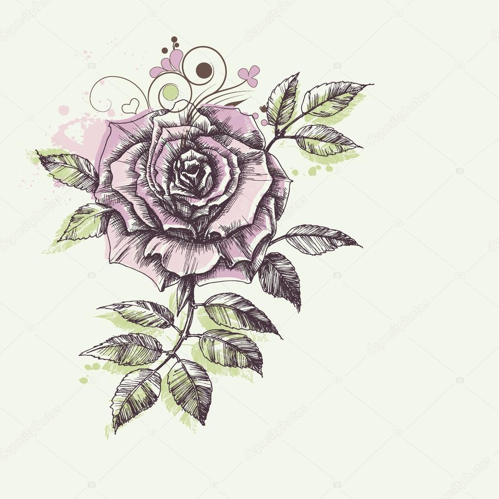 Rose flower foliage corner decoration Stock Vector Image by ©Danussa ...