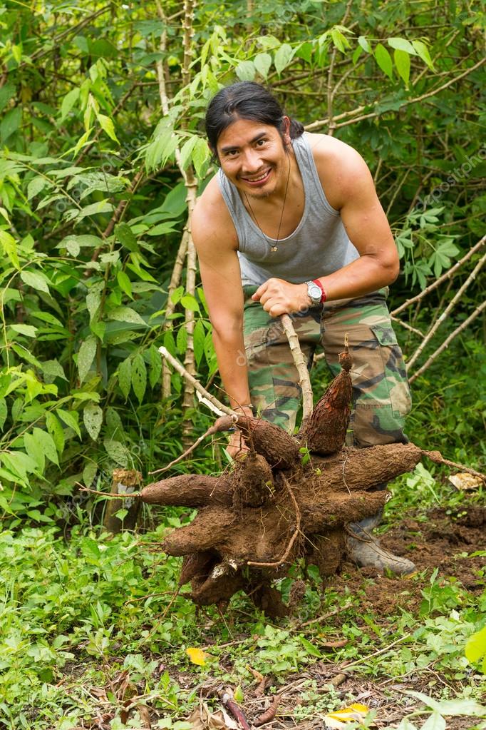 Hombre indígena con raíces de mandioca: fotografía de stock © ammmit ...
