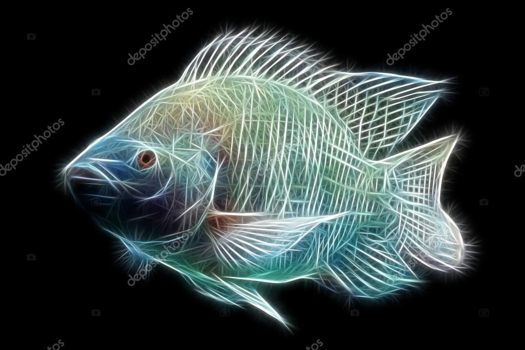 Tilapia Fish Fractals — Stock Photo © ammmit #89059242