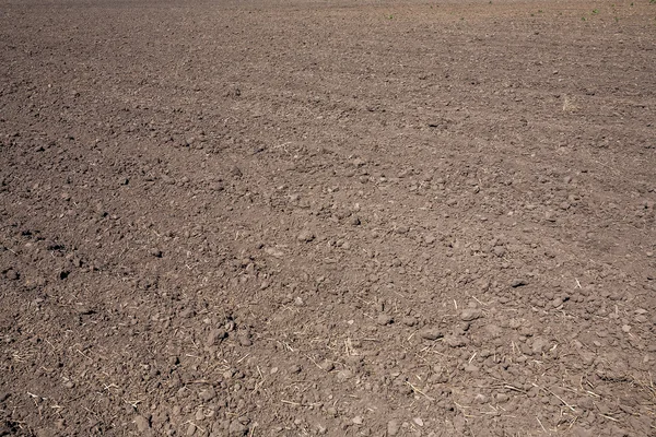 Seamless soil texture Stock Photos, Royalty Free Seamless soil texture ...