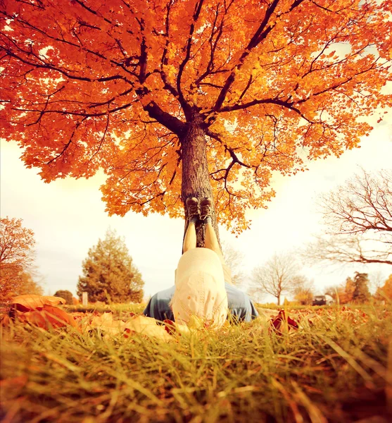 Woman tree trunk Pictures, Woman tree trunk Stock Photos & Images ...