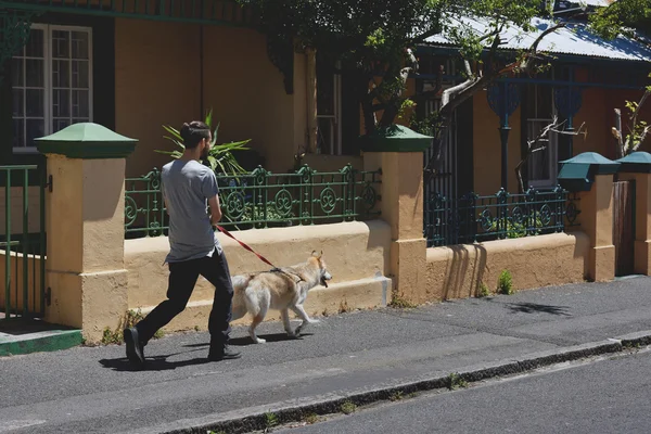pet owner walking his dog - Stock Image - Everypixel