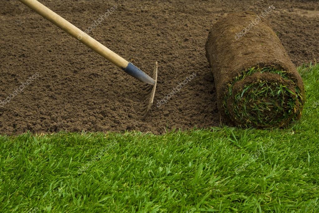 Gardener applying turf rolls — Stock Photo © ikostudio #68907601
