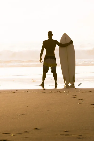Surfer back man Stock Photos, Royalty Free Surfer back man Images ...