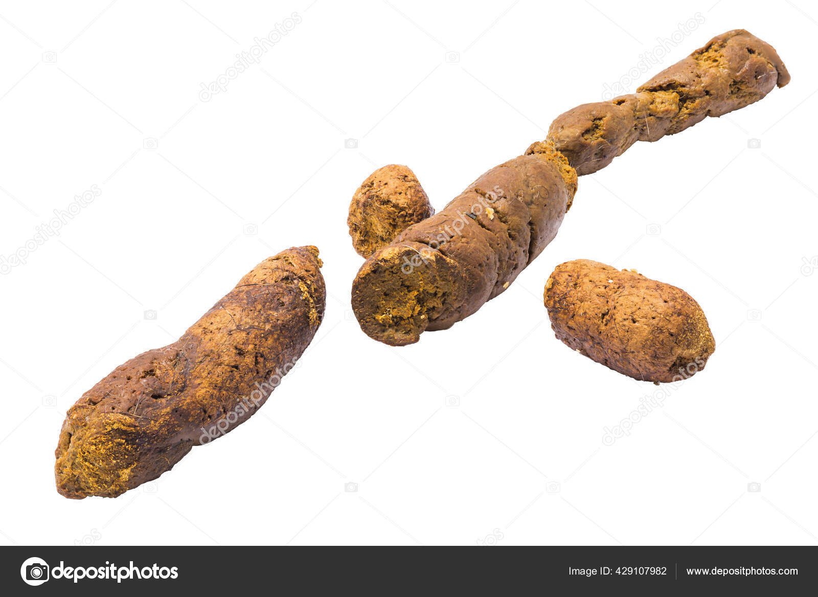 Dry Solid Poop Pieces Isolated White Background Stock Photo by ...