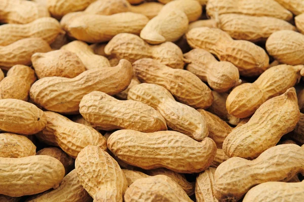 Groundnut background Stock Photo by ©Serg64 10959099