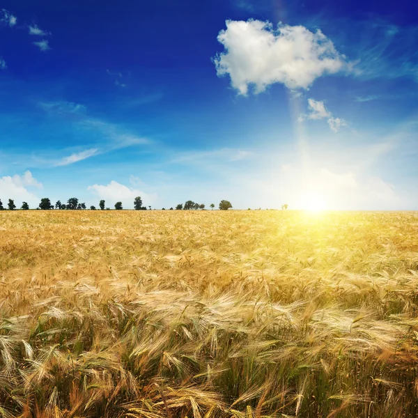 Sunrise over field Stock Photos, Royalty Free Sunrise over field Images ...