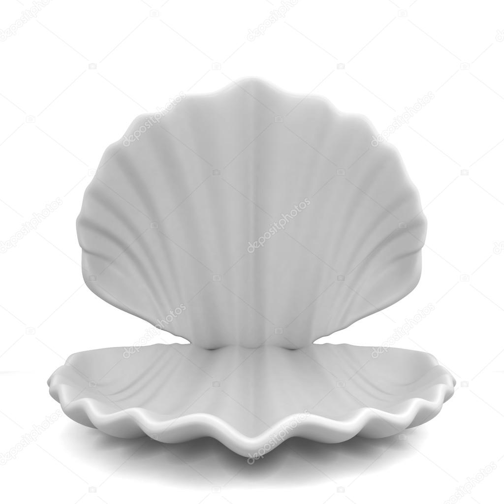 Empty shell Stock Photo by ©montego 51993015