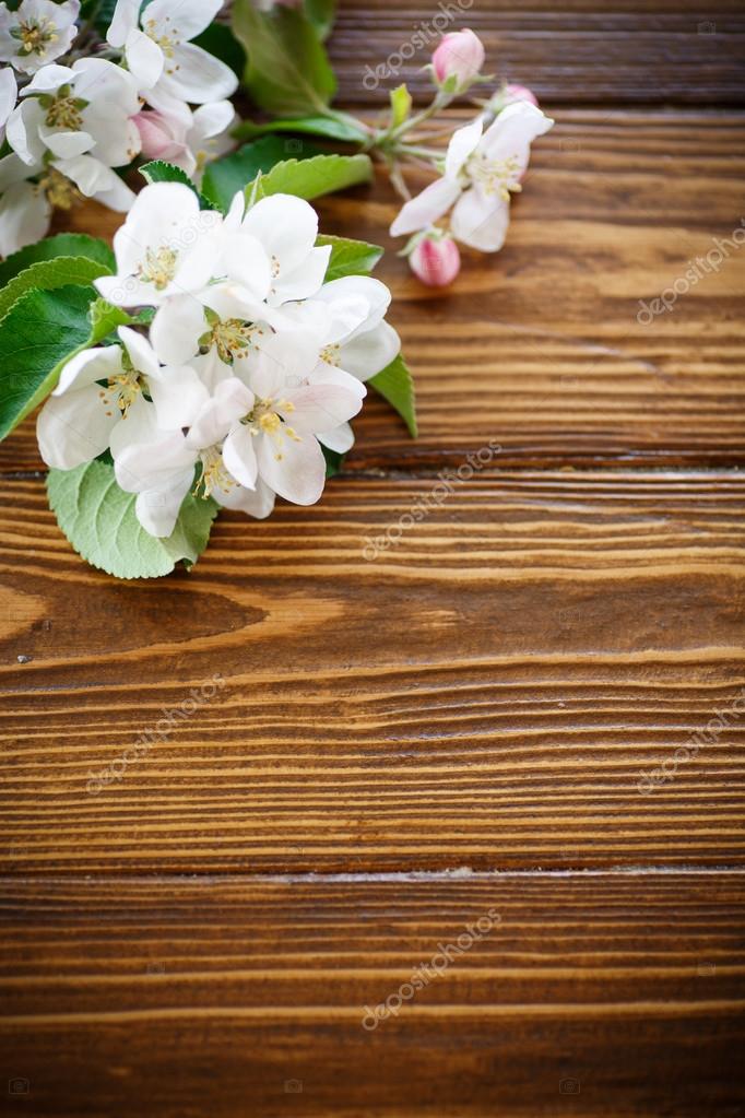 Spring flowers of fruit trees Stock Photo by ©Rawlik 112386200