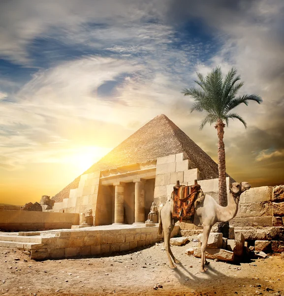 ᐈ Pyramids at sunset stock photos, Royalty Free egyptian pyramid sunset ...