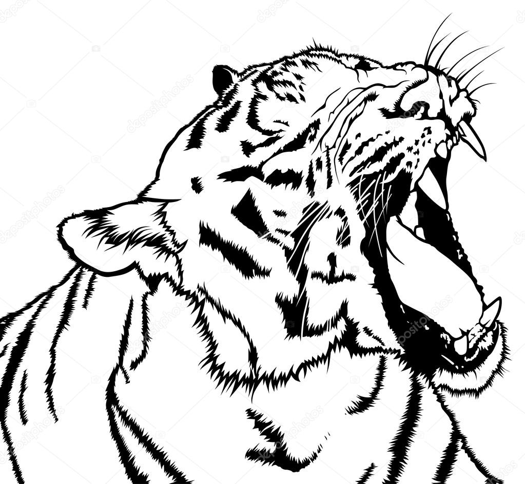 Dibujo De Tigre Rugiente Diseño PNG Y SVG De Tigre Rugiente Chino