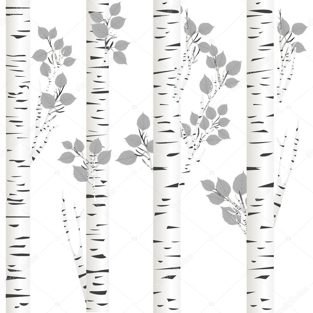 White birch background Stock Vector Image by ©hibrida13 #115596444